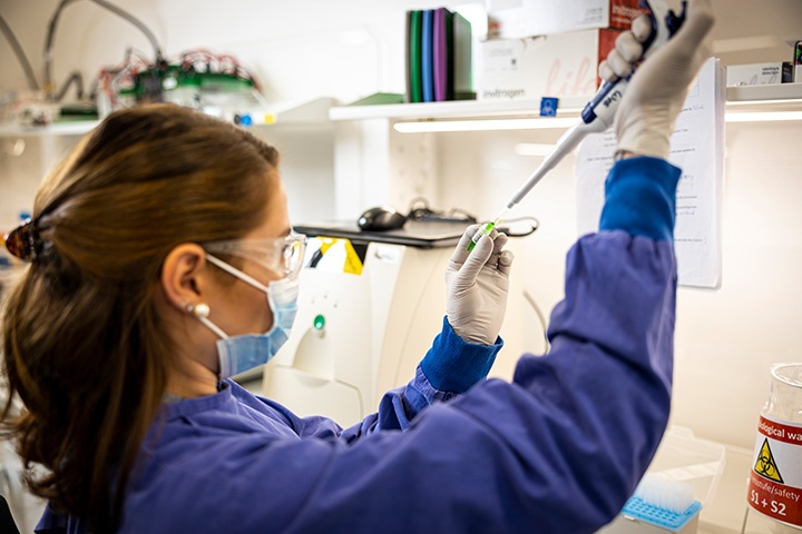 Von der Forschung bis zum Medikament